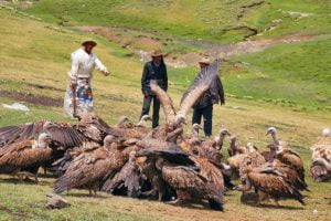 Beri Burung Makan Mayat, ‘Jhator’ Ritual Ngeri Orang Tibet - Raja Lepak