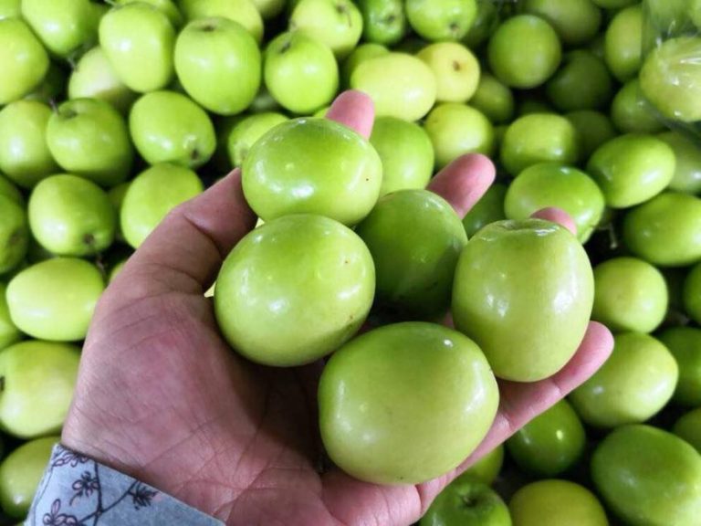 8 Khasiat Buah Bidara Yang Korang Kena Tahu - Raja Lepak